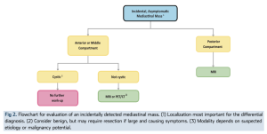Chest and Mediastinum - rad-call.com