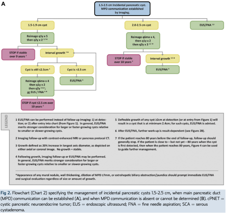 Pancreatic Cysts - rad-call.com