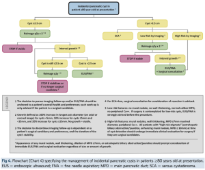 Pancreatic Cysts - rad-call.com